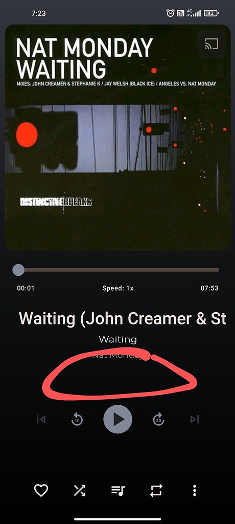 Show file info on the "now playing" screen - Feature requests ...