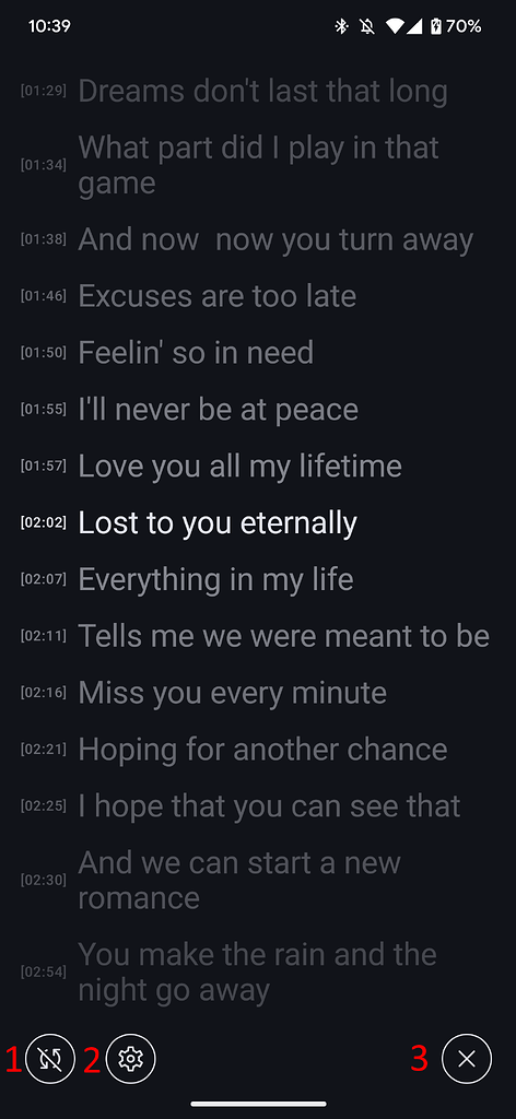 Lyrics interface - Wiki - Symfonium support