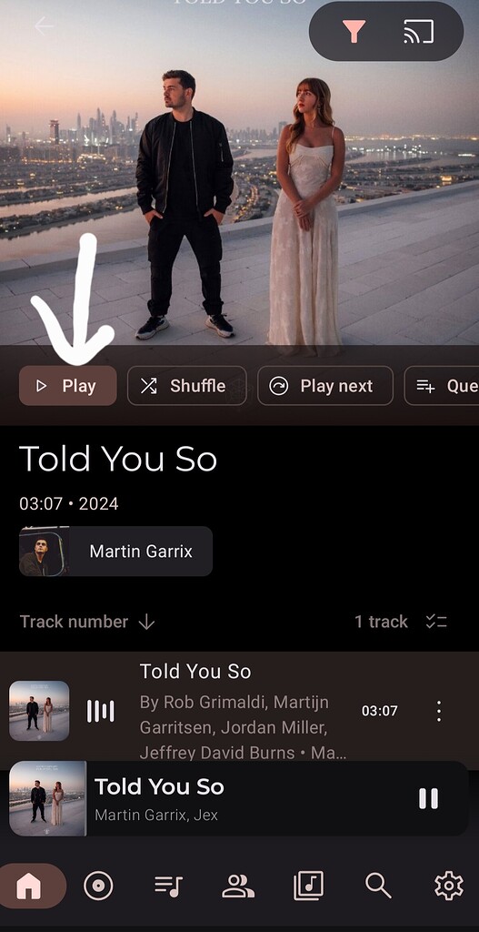 Customizable Action Buttons for Album and Artist Pages - Feature ...
